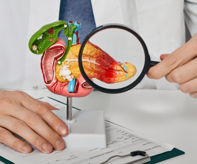Amilasi pancreatica: cos'è e quando preoccuparsi - Centro Medico ...