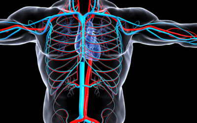Amilasi pancreatica: cos'è e quando preoccuparsi - Centro Medico ...